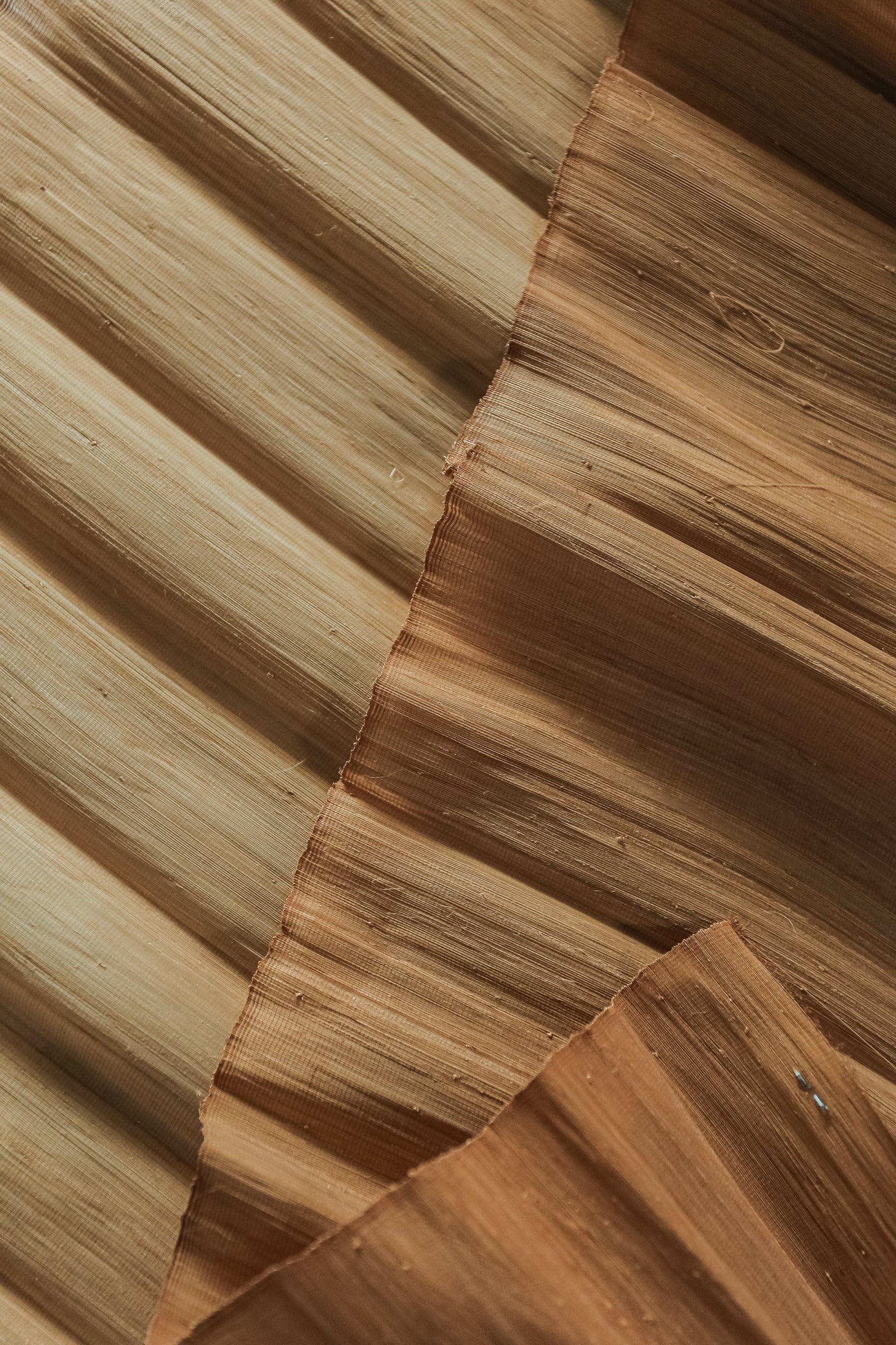 ANTHILL Fabric Store – ANTHILLfabrics