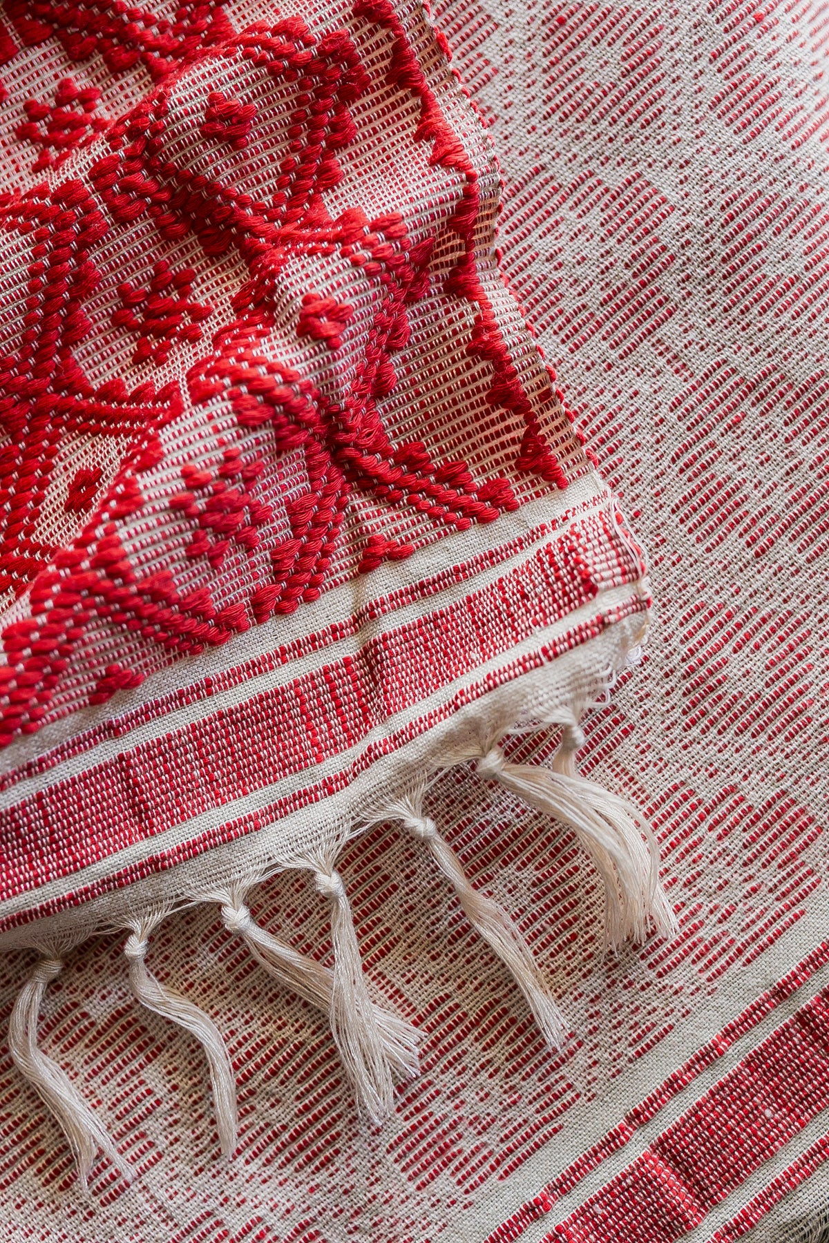 Pinilian 014 – ANTHILL Fabrics